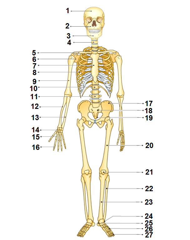 Digitale Leeromgeving Mens en Natuur De Mavo VOS - Lesmateriaal - Wikiwijs