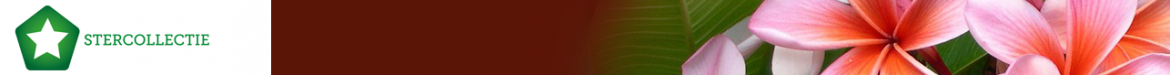 Thema: Groene vingers vmbo-b34 - Lesmateriaal - Wikiwijs Thema: Groene vingers vmbo-b34 - Lesmateriaal - Wikiwijs