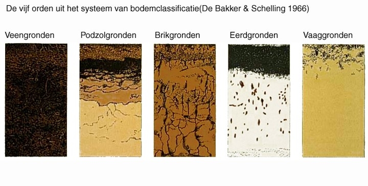 Bodemkunde - Wikiwijs Maken