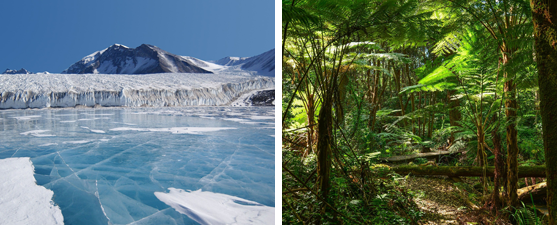 Aan het landschap herken je het klimaat - h45 - Lesmateriaal - Wikiwijs