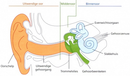 Digitale leeromgeving mens en natuur de mavo vos - Lesmateriaal - Wikiwijs
